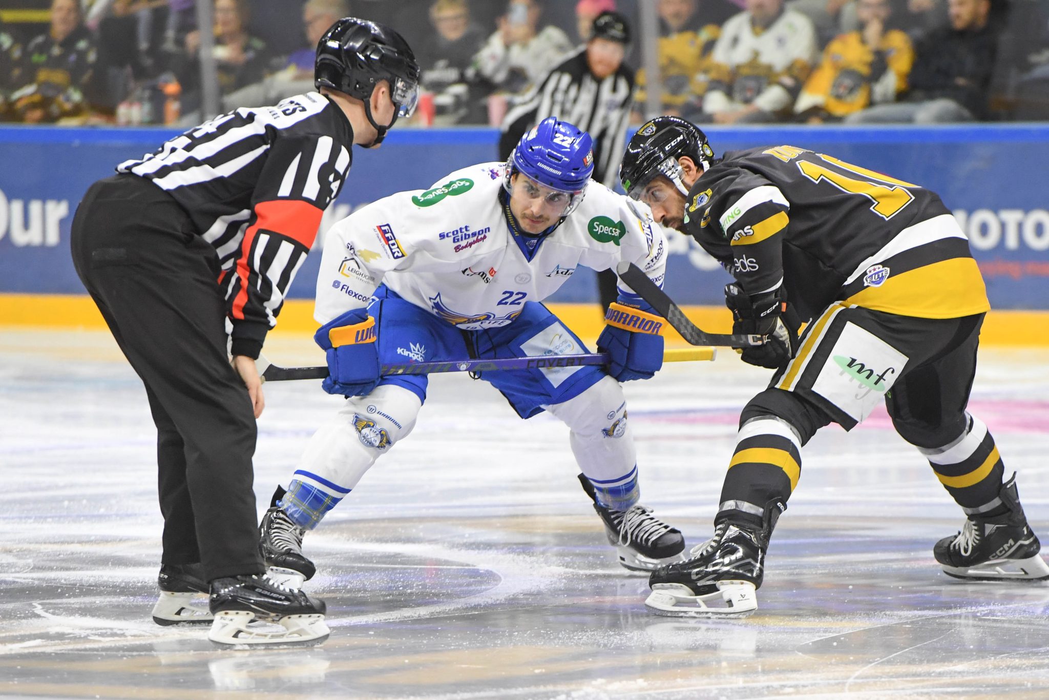 News - Fife Flyers