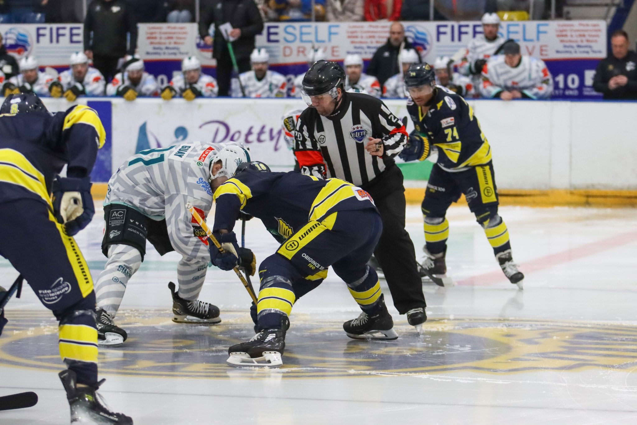 News - Fife Flyers